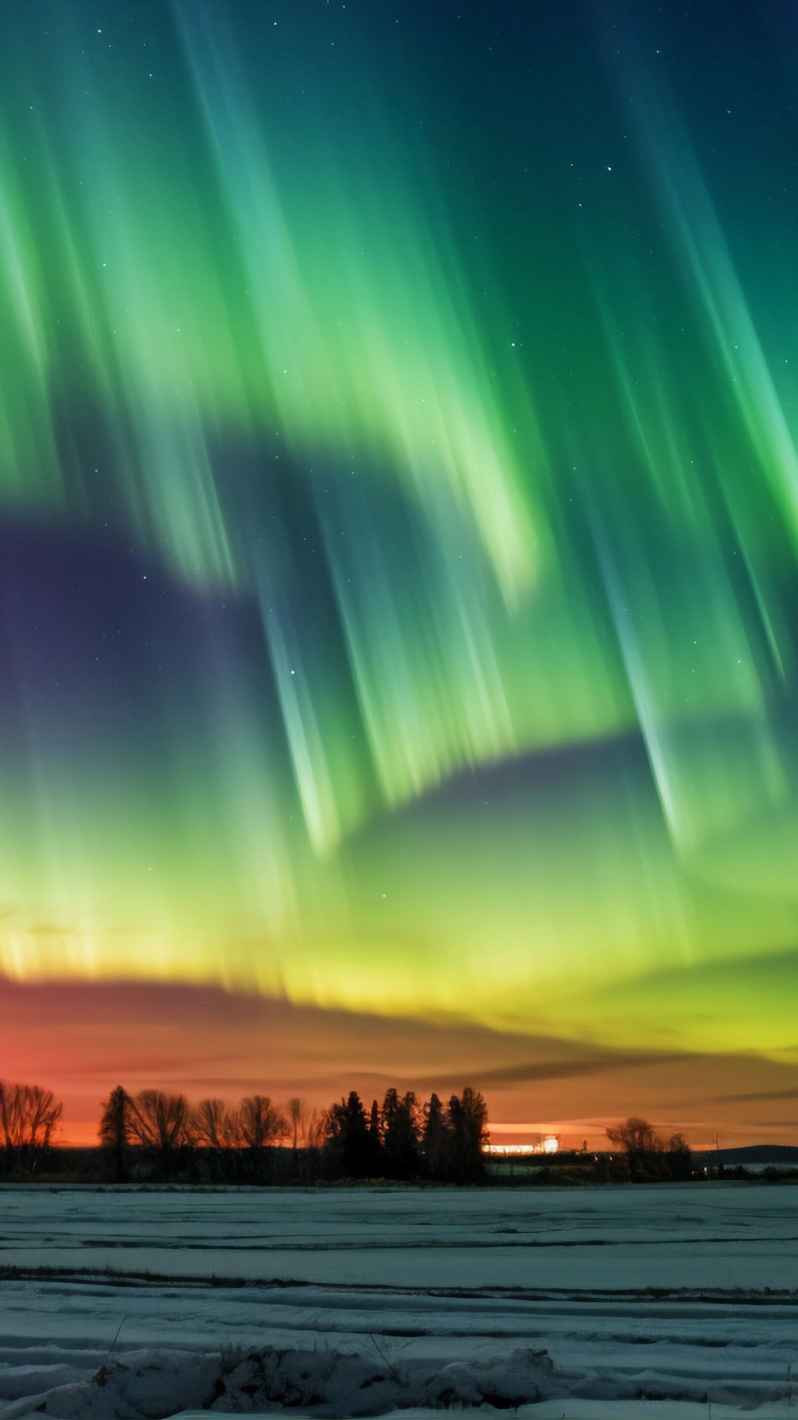 Dancing Aurora Borealis Over a Quiet Winter Horizon at Dusk - backiee