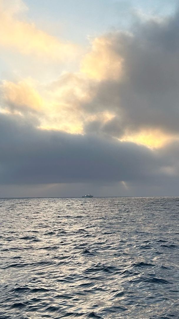 Serene Ocean at Dusk with Cloudy Skies - backiee