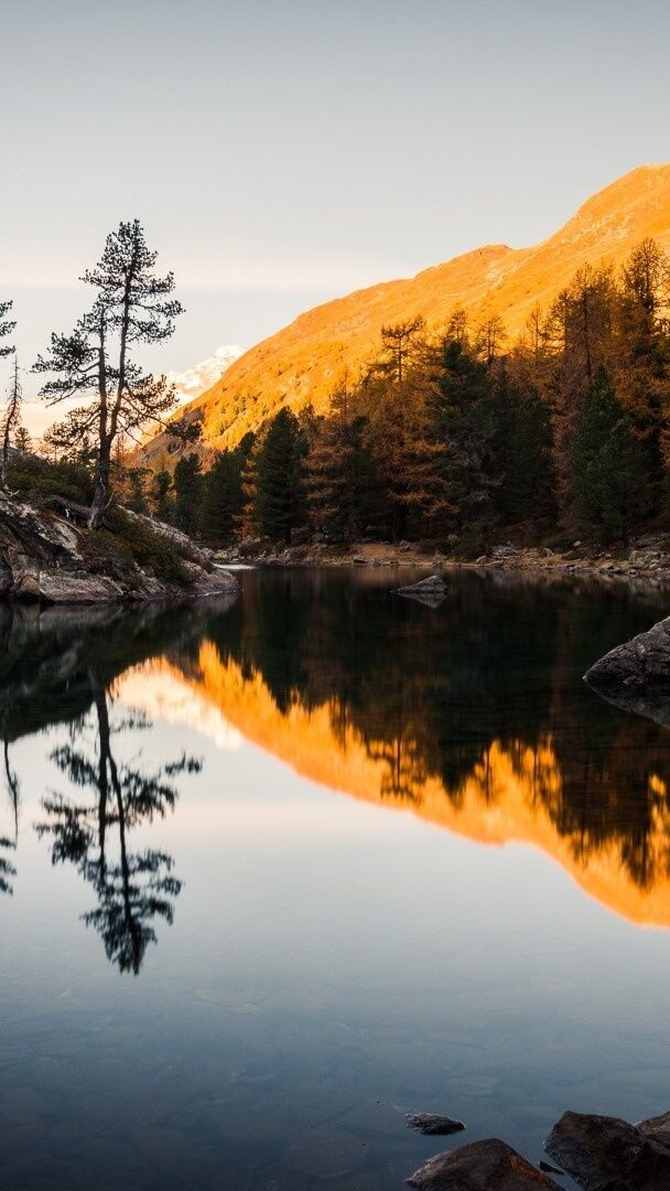 Lago di Saoseo's Tranquil Reflection Escape - backiee