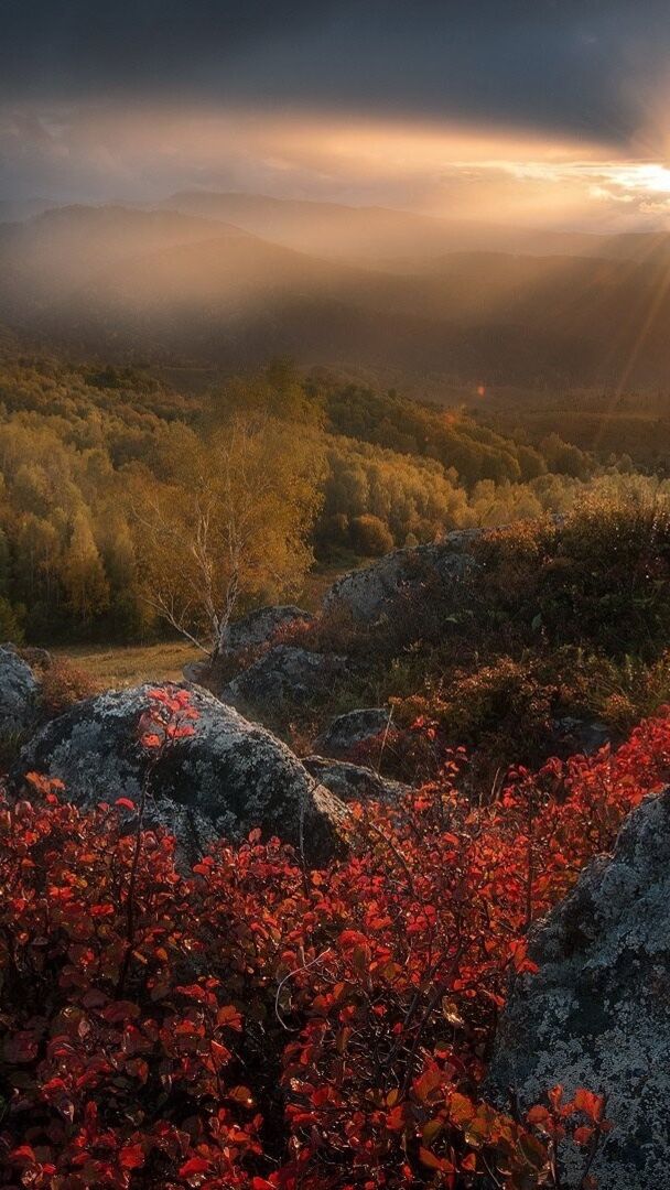 Autumn Sunrise Over Majestic Mountain Landscape - backiee