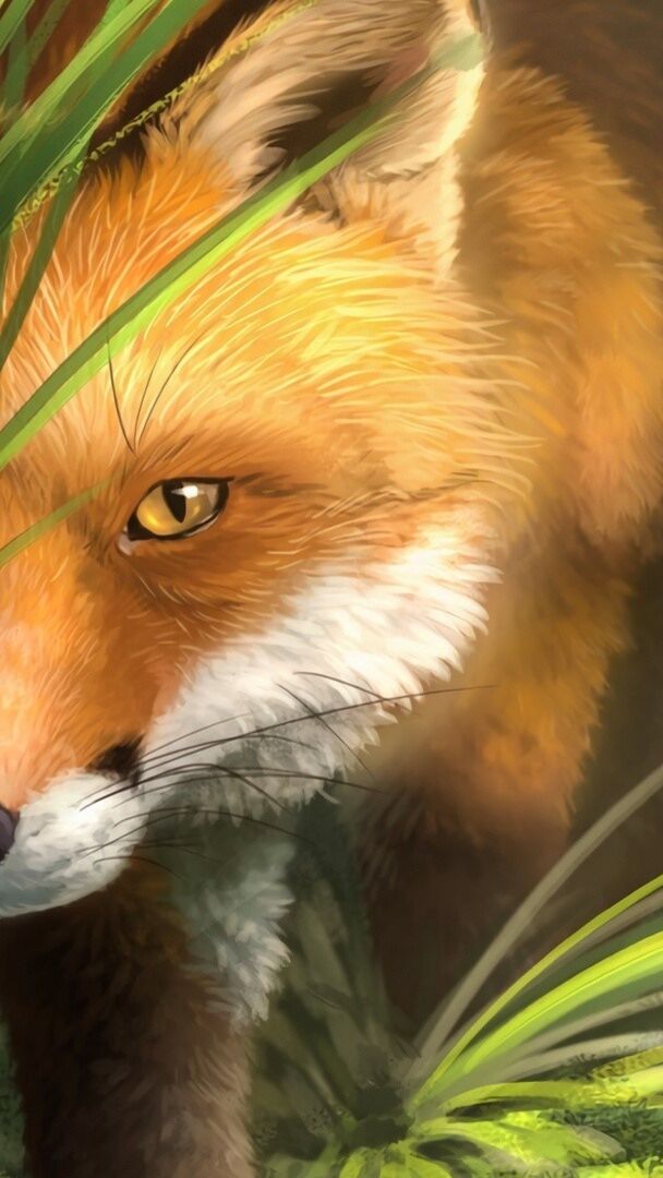 Red Fox in Enchanting Wilderness Artistry - backiee