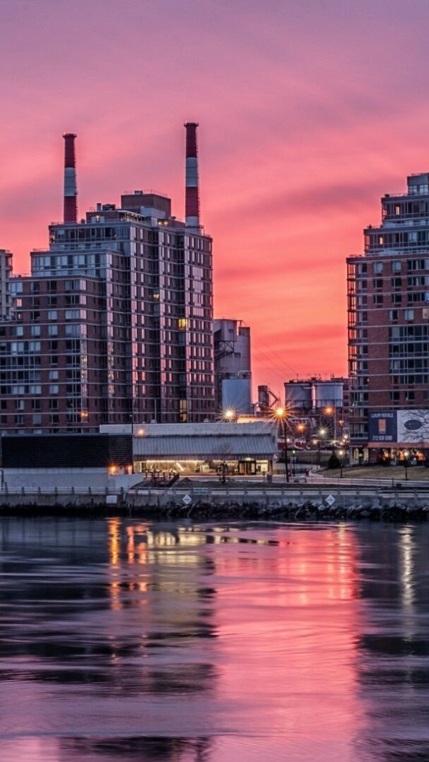 Pink Sunset over Roosevelt Island - backiee