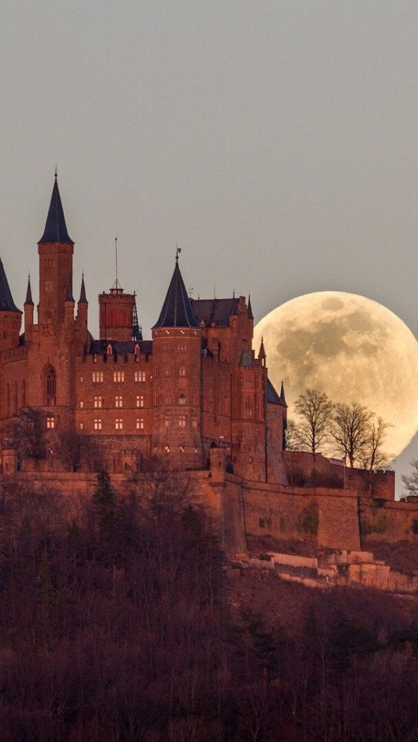 Enchanted Moonlit Castle Panorama - backiee