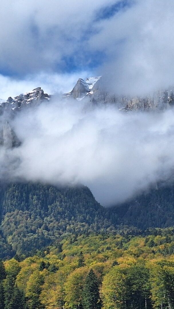 Mountain Peaks Shrouded in Misty Clouds - backiee