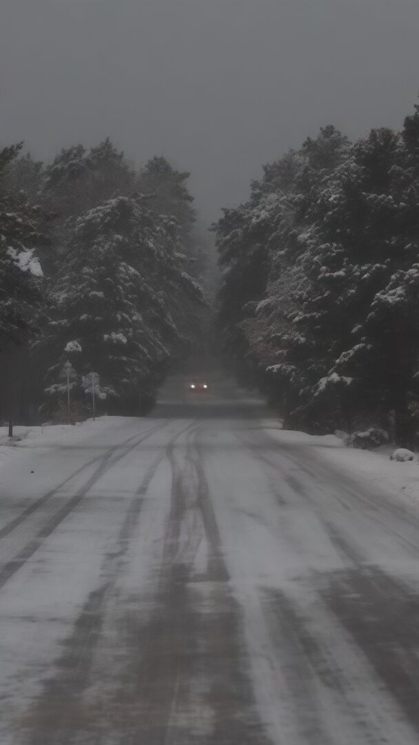 Winter forest road - backiee