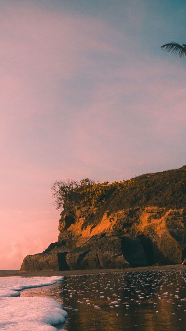 Serene Sunset by the Beach - backiee