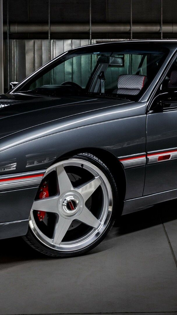 Holden VN SS Commodore - backiee