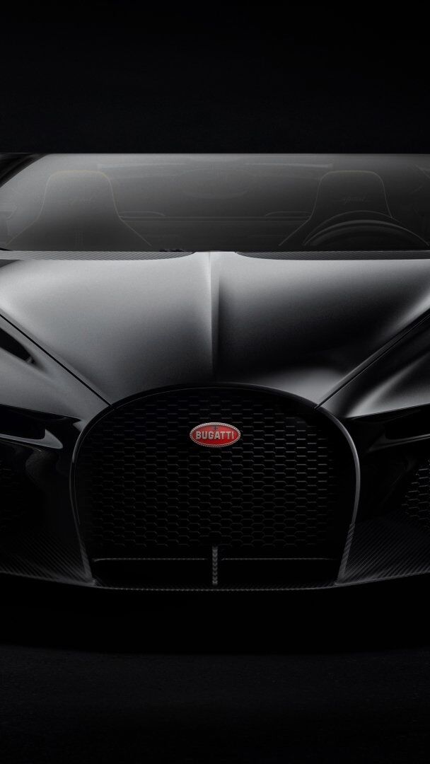 Bugatti W16 Mistral - backiee