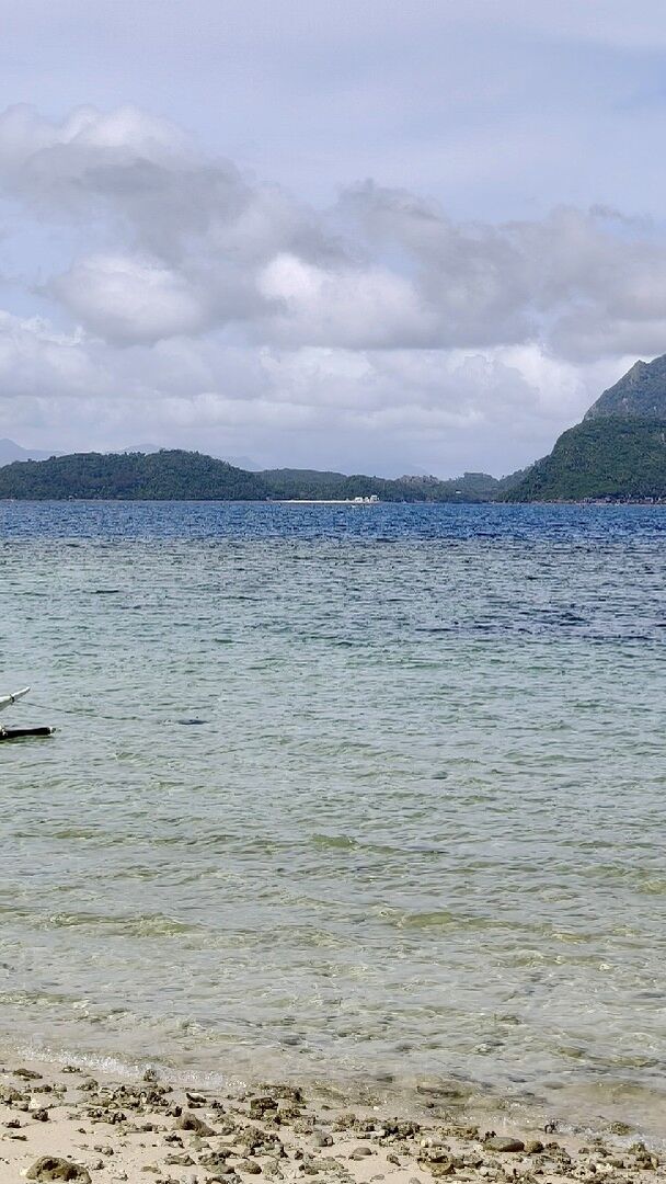 A Boat by the Sea - backiee