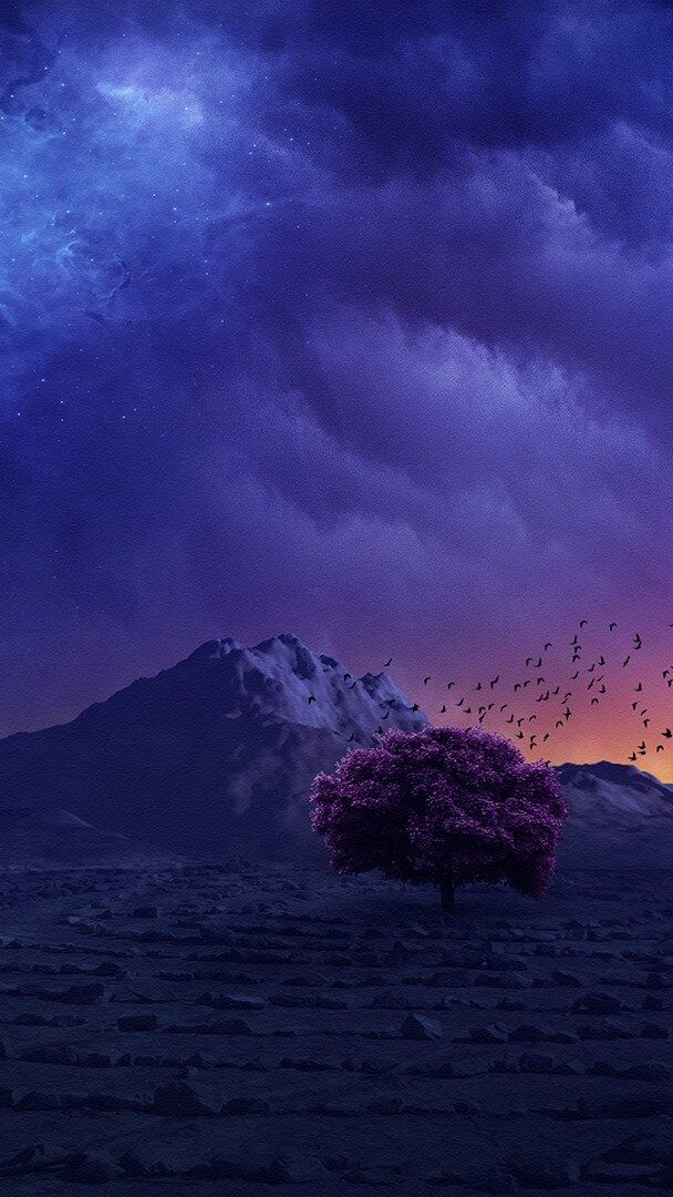 Enchanted Lone Tree Beneath Stormy Dusk Skies - backiee