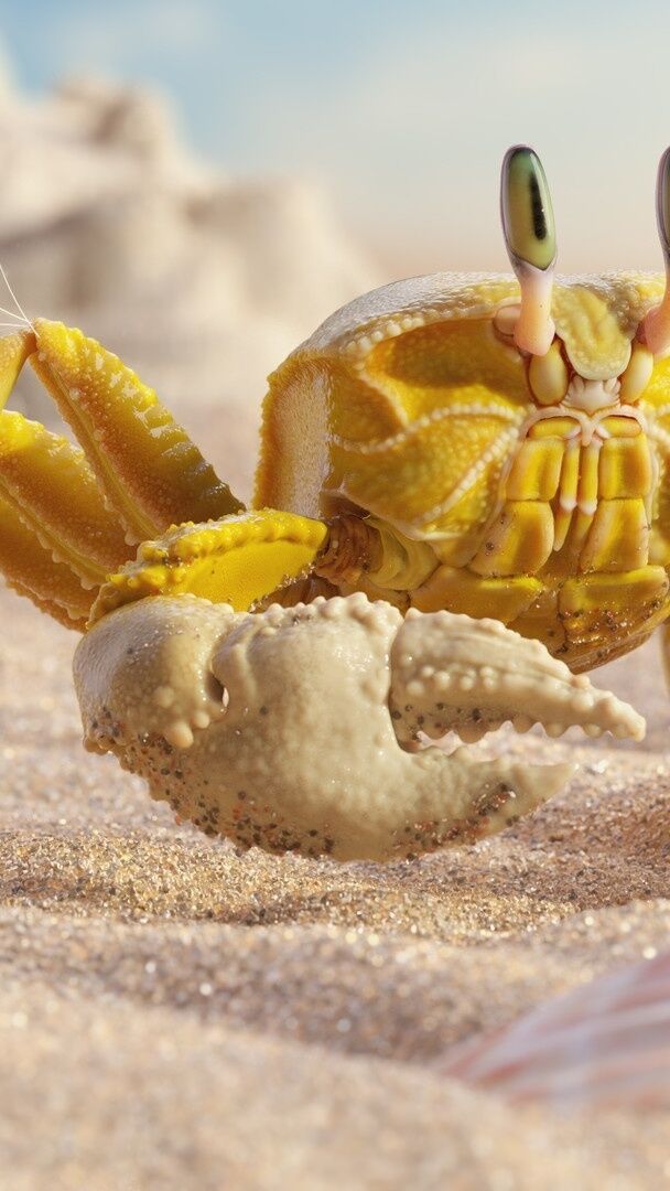 Golden Sand Crab Close Up on a Sunlit Beach - backiee