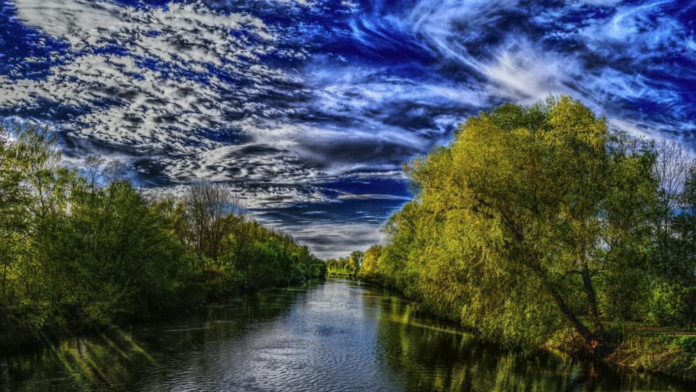 Beautiful forest river landscape - backiee