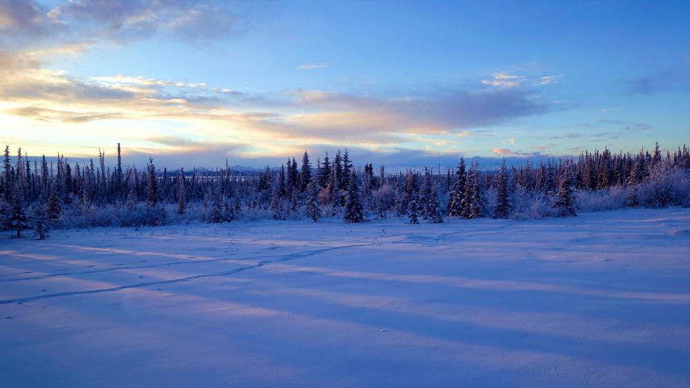 Denali Alaska Desktop Wallpaper