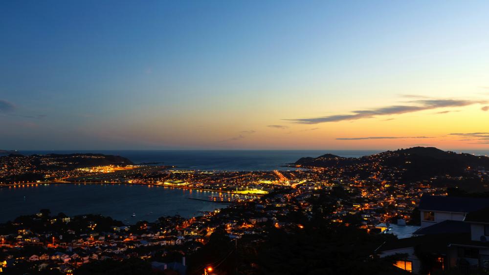 Wellington At Night Backiee