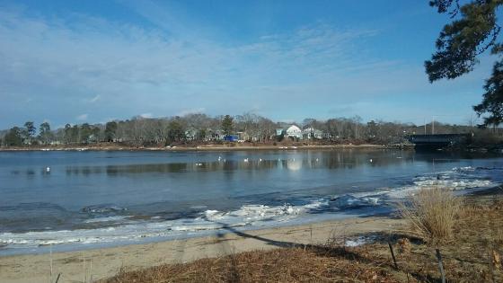 Mashpee River Wetlands wallpaper - backiee