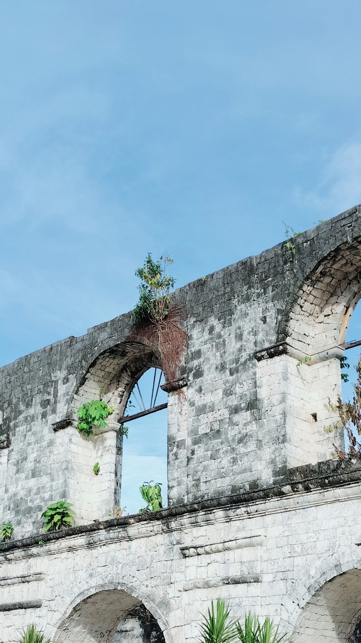 Cuartel Ruins - backiee